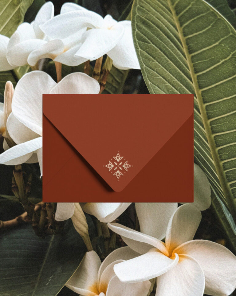 Projet Gaïa - Studio Klay | Graphiste et Illustratrice